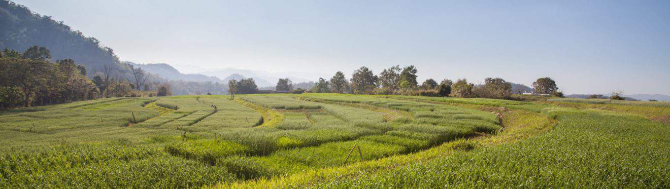 Samoeng Accommodation - Hotels, Resorts, Cafes, Loop Map, Chiang Mai