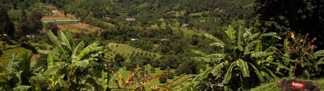 Mae Sa Valley - Attractions, Loop, Resorts Accommodation, Chiang Mai