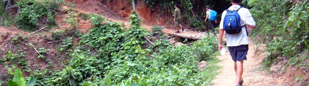 Chiang Rai Trekking - Elephant Tours, Guided Single Day Walks, Thailand