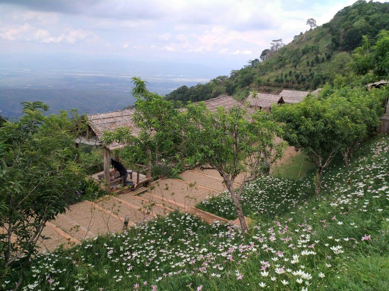 Mon Cham - Camping, Resort, Restaurants & Tour, Chiang Mai Thailand