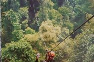 Pongyang Jungle Coaster & Zipline - Prices & Opening Hours, Chiang Mai