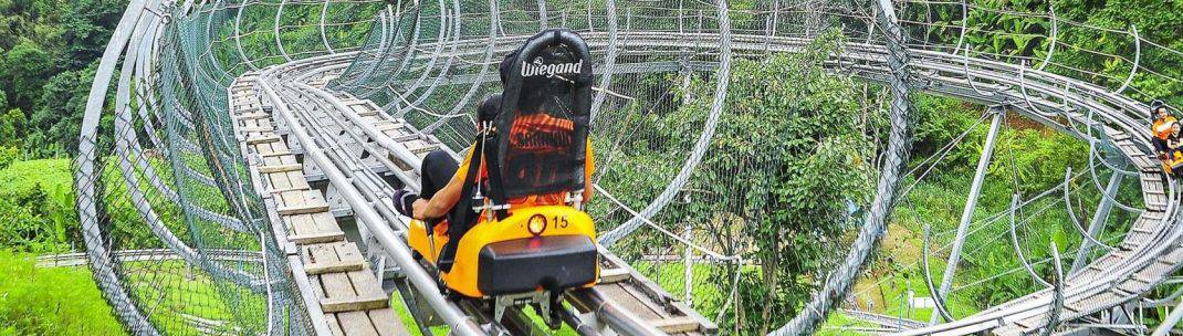 Pongyang Jungle Coaster & Zipline - Prices & Opening Hours, Chiang Mai